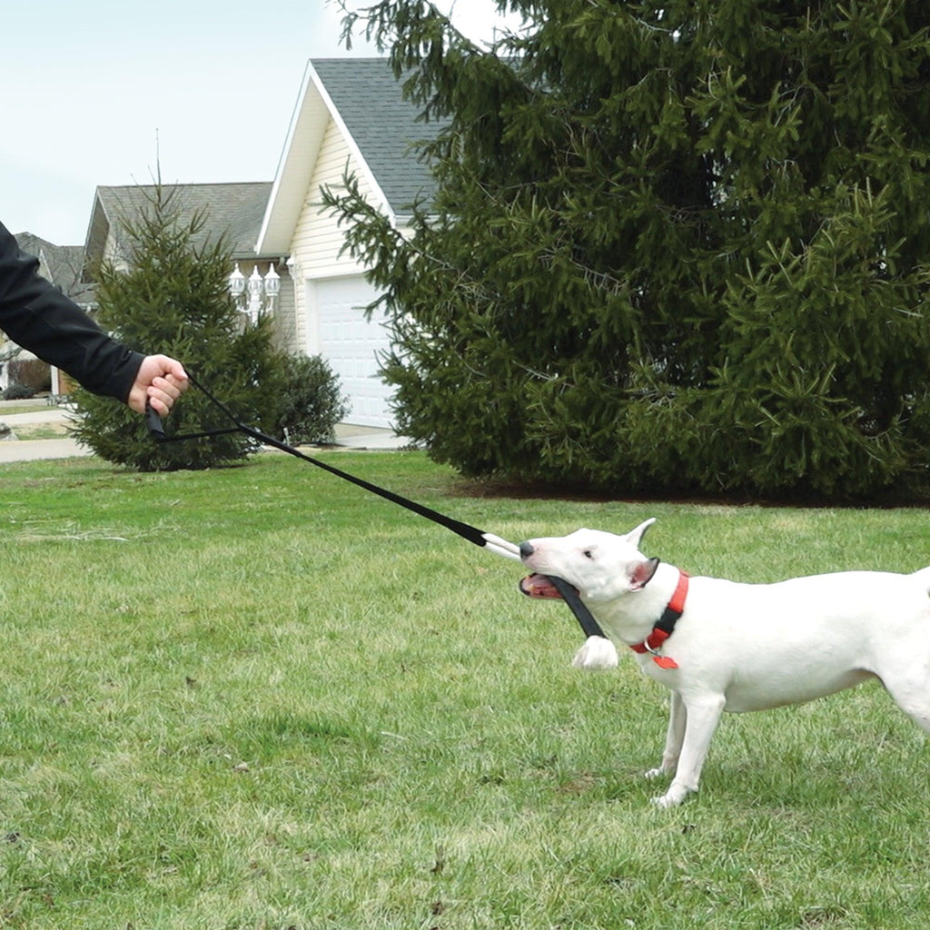 Easy Tug - Handheld Dog Tug Toy by Tether Tug